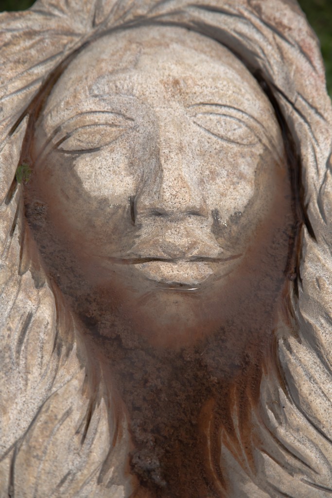 Shidoni-1 | From the Family Table