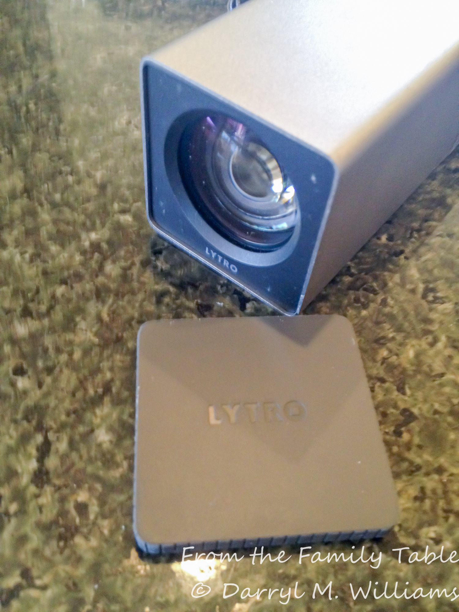 USING THE LYTRO LIGHT FIELD CAMERA – SHRIMP, ARTICHOKE AND MUSHROOM MAC ...