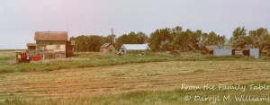 NORTH DAKOTA CHEESE BUTTONS (KÄSE KNÖPFEN OR KASE KNOEPFLA) | From the ...