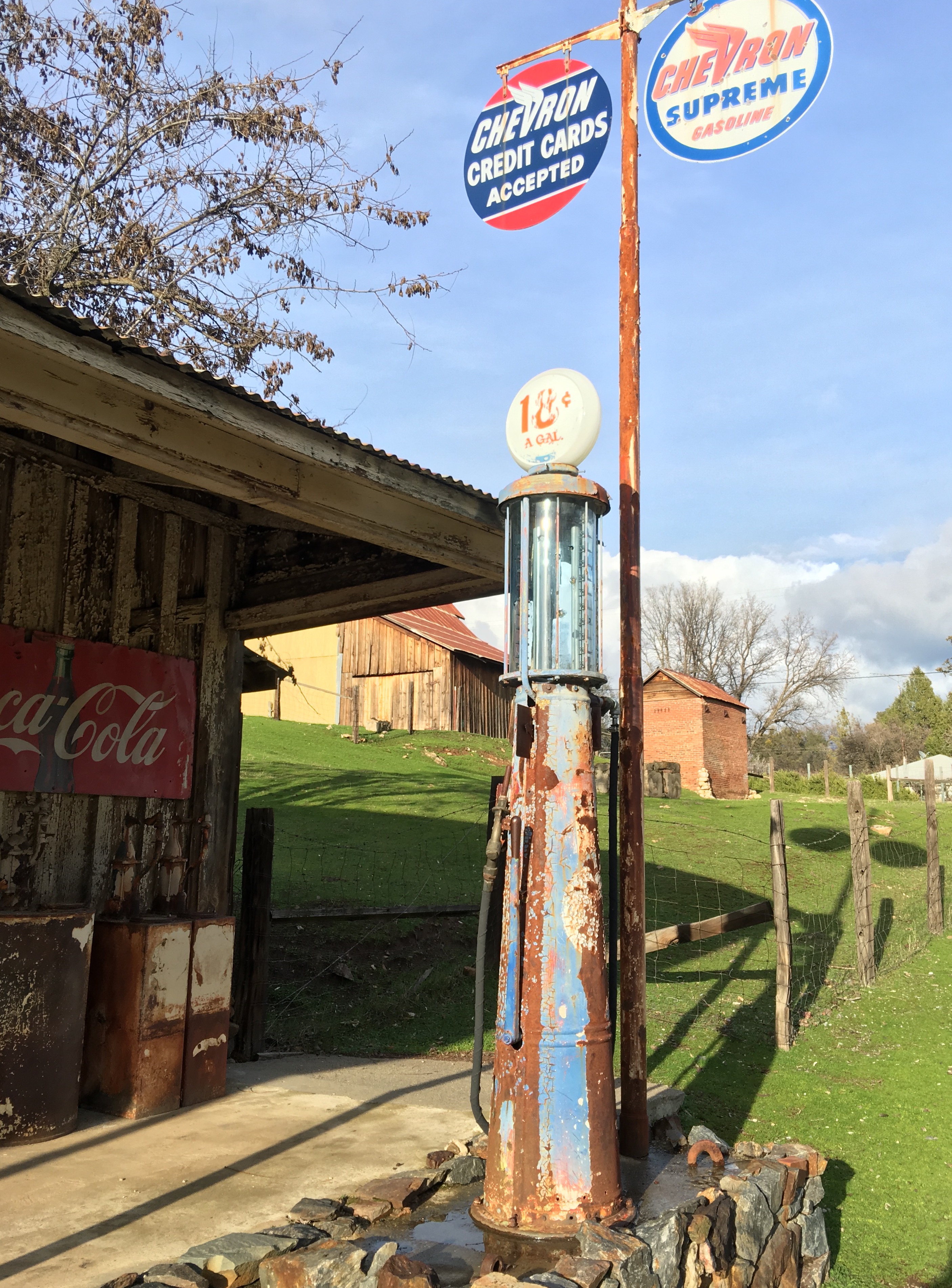 SEARCHING FOR THE MOTHER LODE | From the Family Table