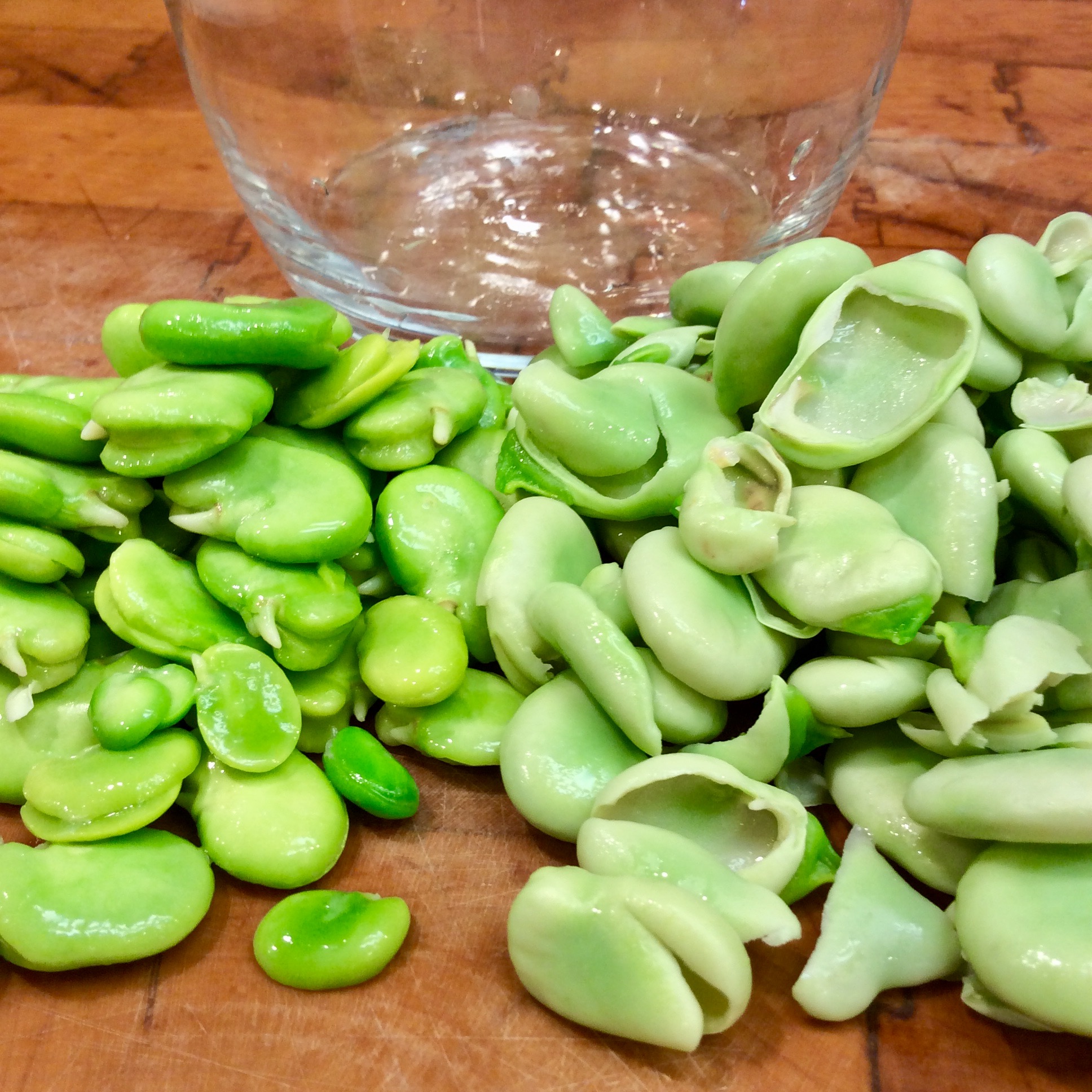 FAVA BEANS | From the Family Table